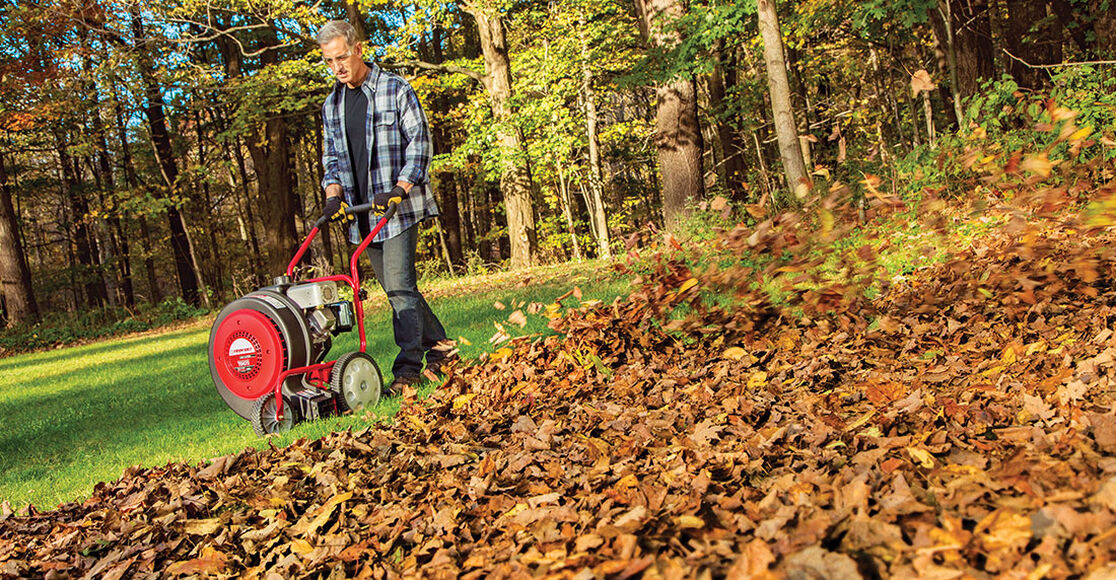 Leaf Removal Tips | Troy-Bilt | Troy-Bilt CA