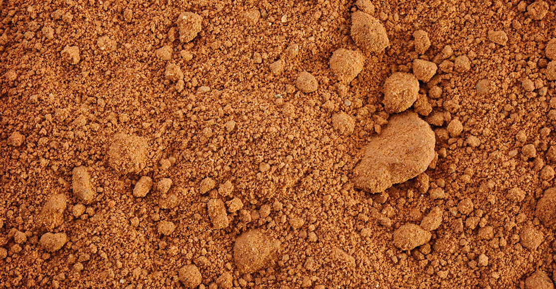 Amending Clay Soil | Troy-Bilt | Troy-Bilt CA