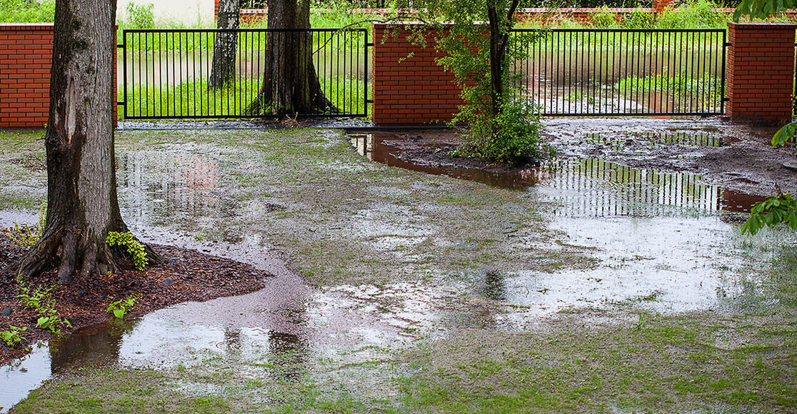 How to Revive a Waterlogged Lawn | Troy-Bilt | Troy-Bilt CA