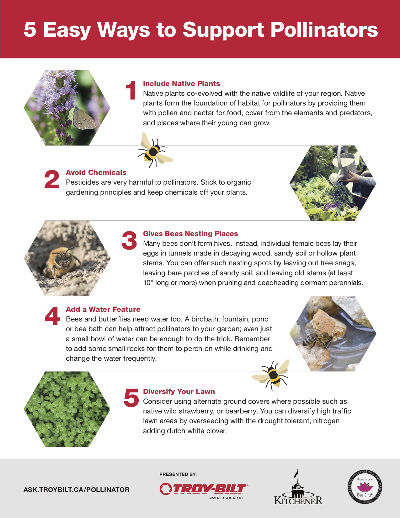 5 Easy Ways to Support Pollinators | Troy-Bilt CA